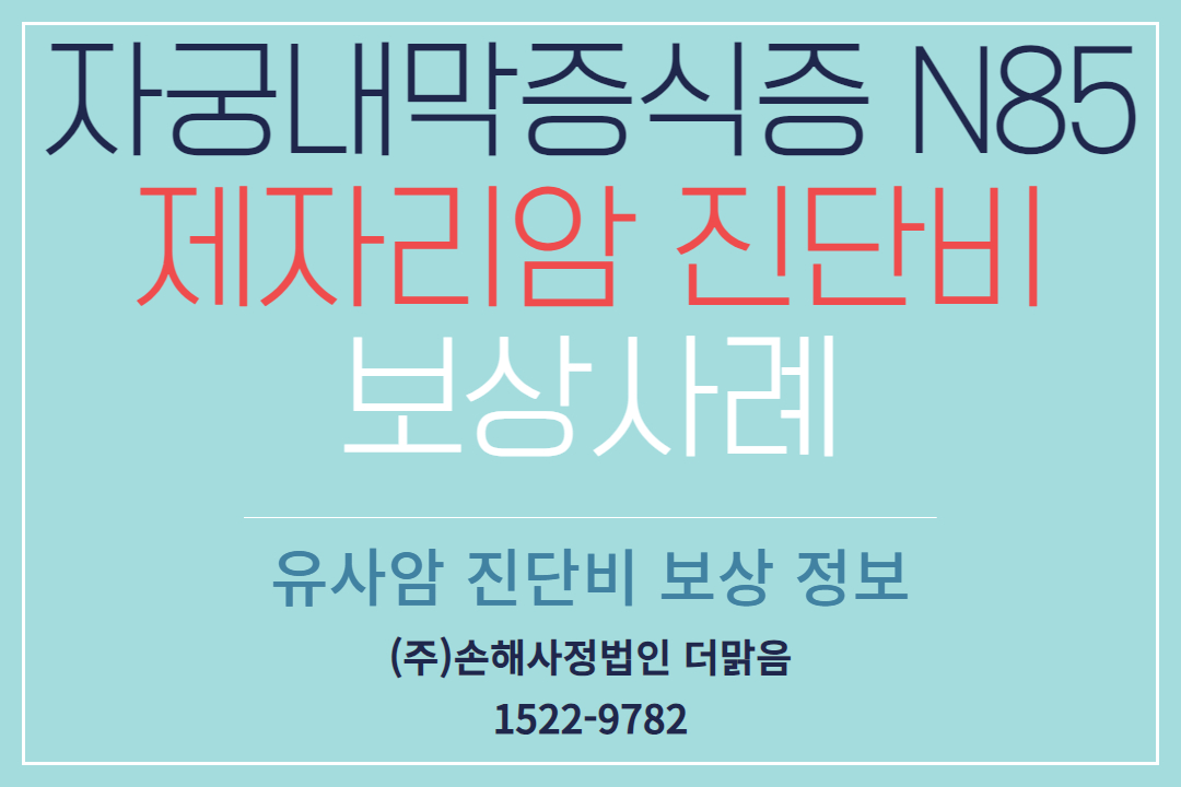 (주)손해사정법인 더맑음 - 자궁내막증식증 N85 제자리암 진단비 성공 사례
